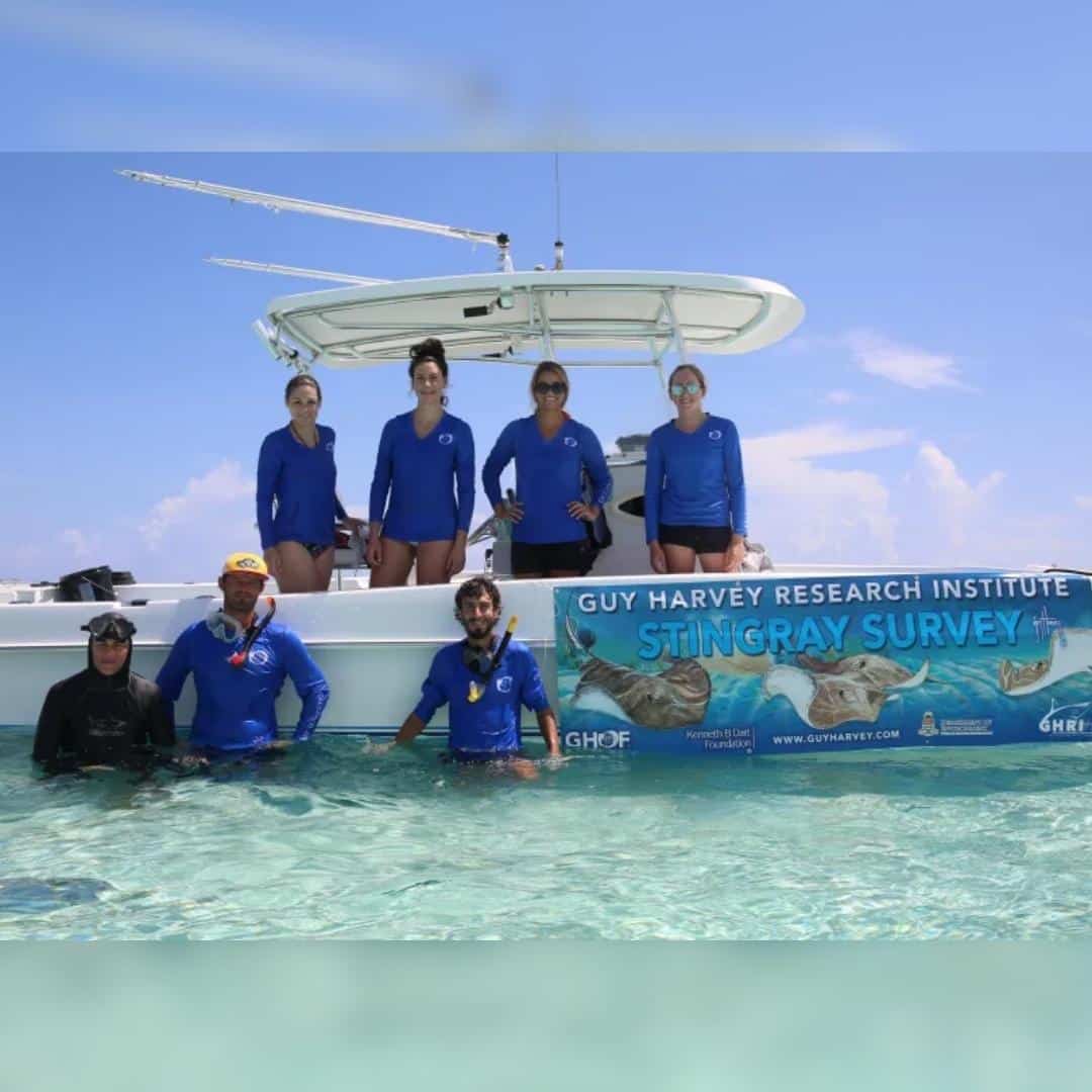 Cayman - Guy Harvey Foundation
